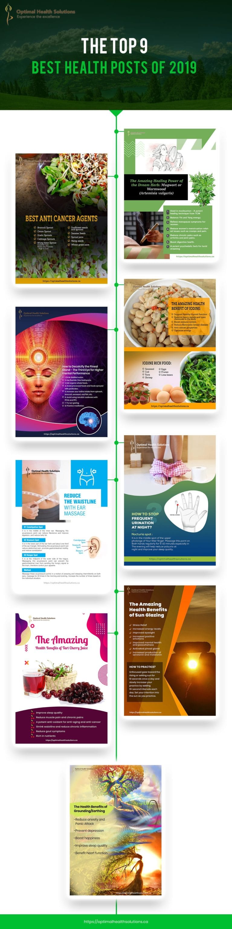 The Top 9 BEST Health Posts of 2019 - Optimal Health Solutions