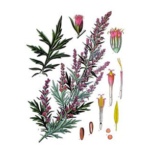 The Best Natural Remedies for Pain Control - Optimal Health Solutions